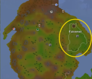 OSRS Falconry Guide | Hunter Training - Exp rates