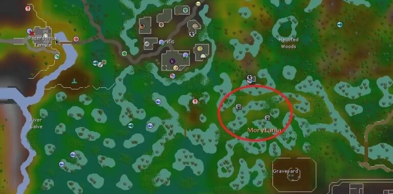OSRS Swamp Lizards Guide | Hunter Exp Rates